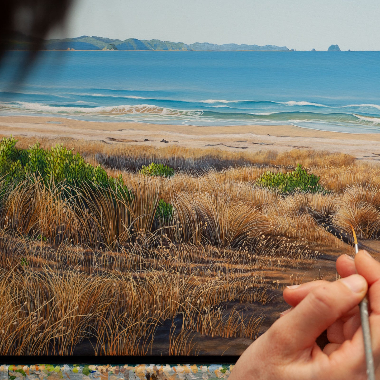 Cook’s Beach in the Coromandel - Bellamy Gallery