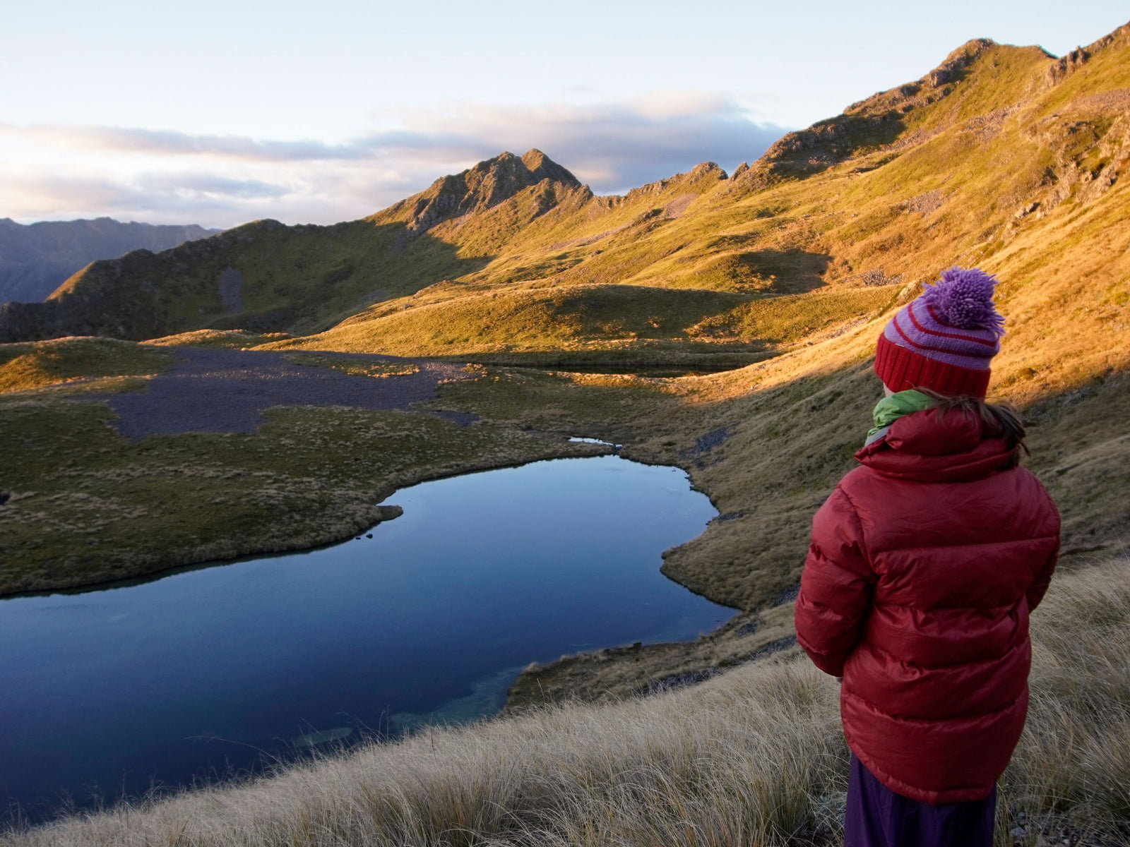 The ridge route - Bellamy Gallery