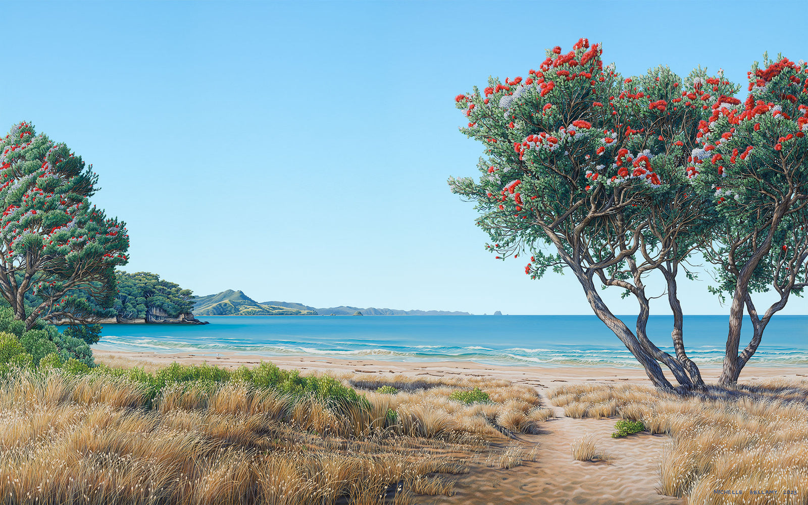 Summer Afternoon at Cooks Beach - Bellamy Gallery