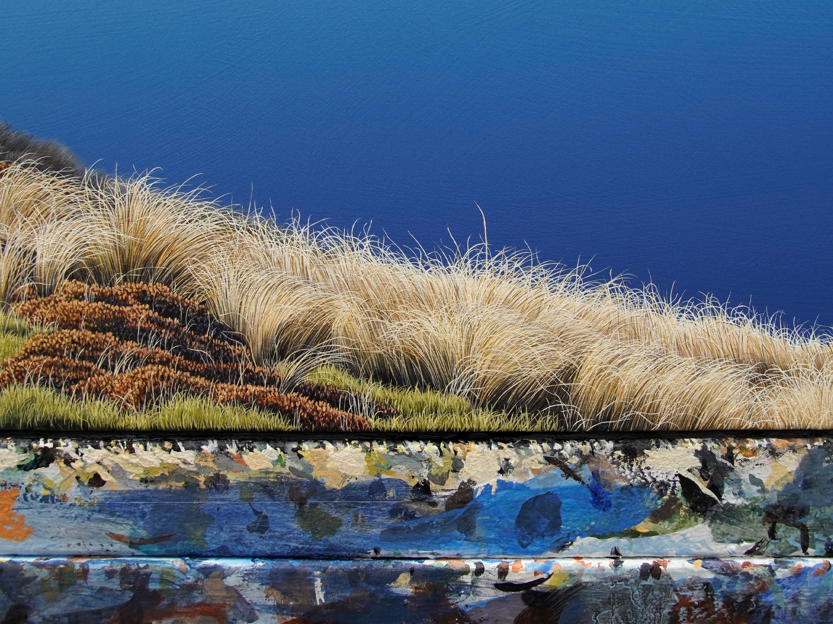 Tussock detail in the St Arnaud painting - Bellamy Gallery