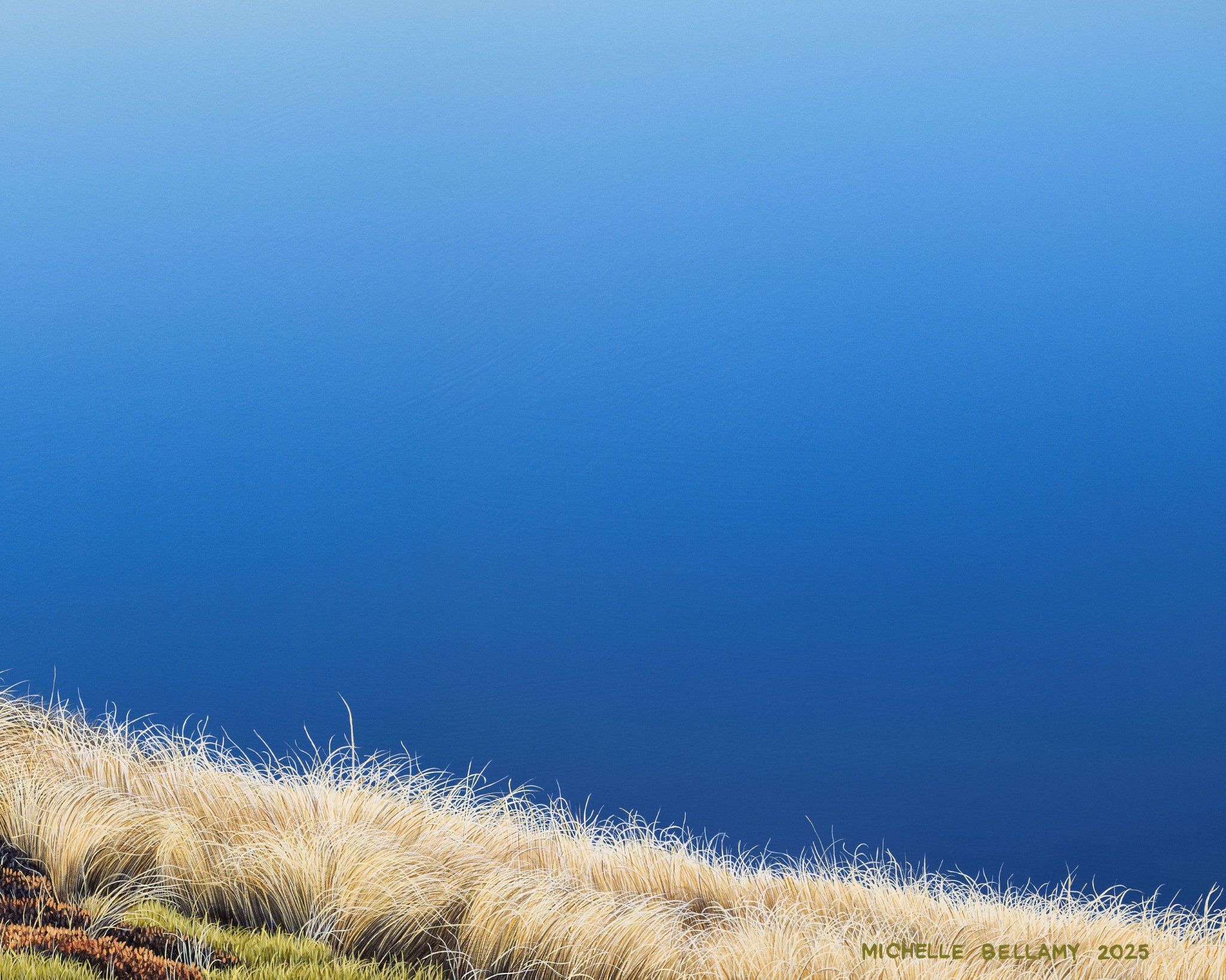 St Arnaud Range Tarn above Parachute Rocks - Nelson Lakes National Park ...