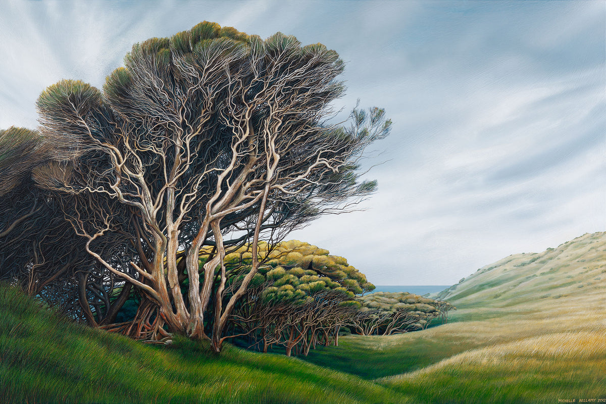 Wharariki Tree Art Print - Windblown Coastal Beauty - Bellamy Gallery